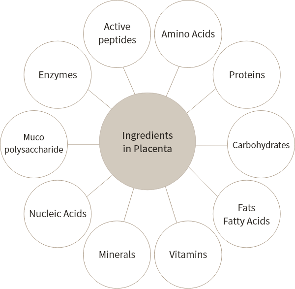 About ＆NAGOMI | ＆NAGOMI Horse oil and horse placenta cosmetics